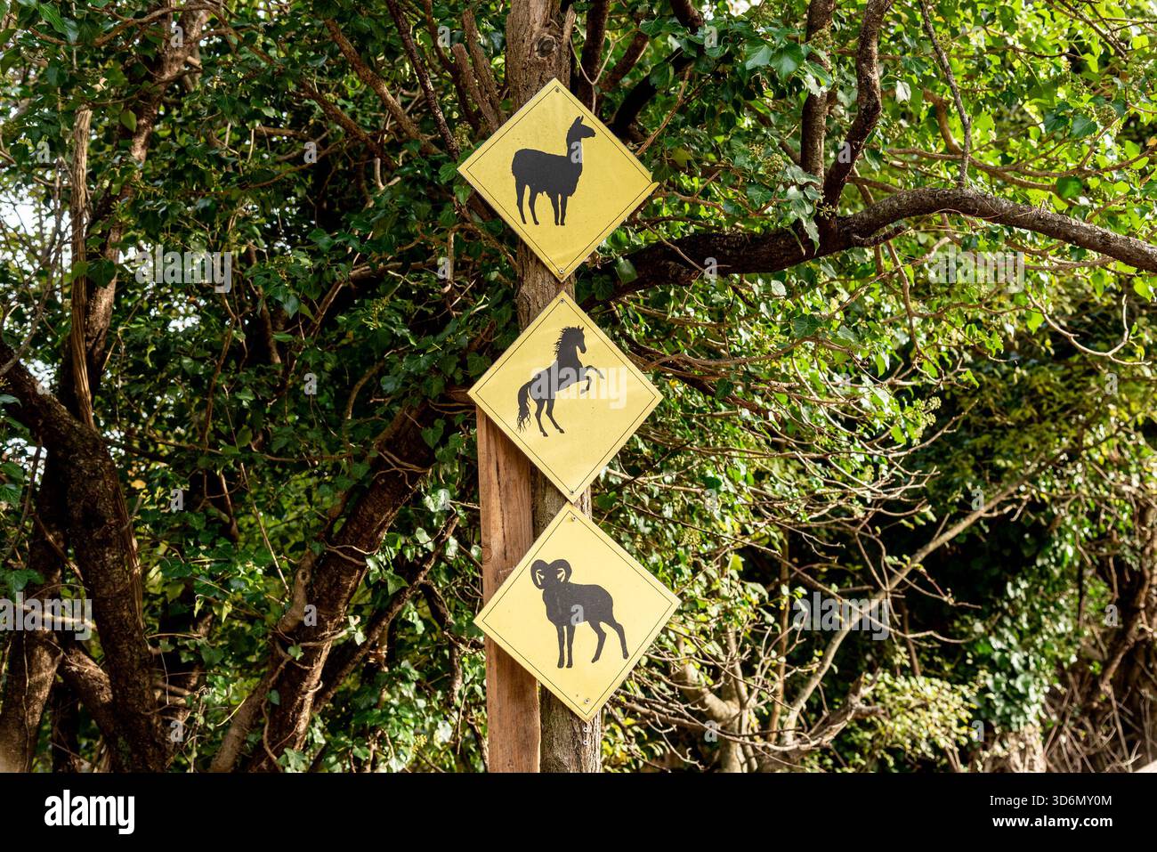 Banners arrow direction pointing hi-res stock photography and images ...