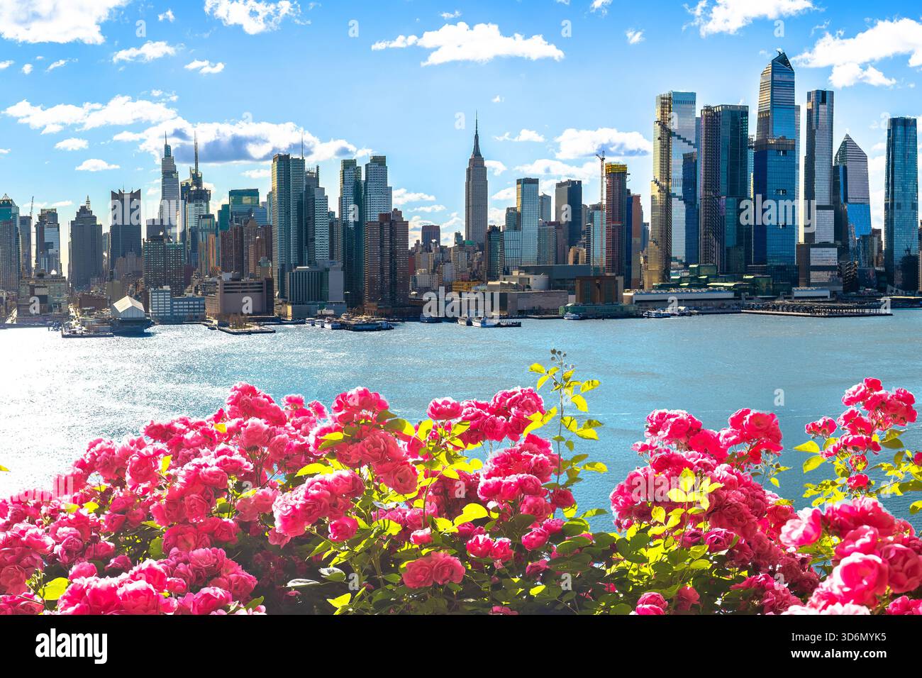 New York City skyline rose flower view from Hudson river, United States ...