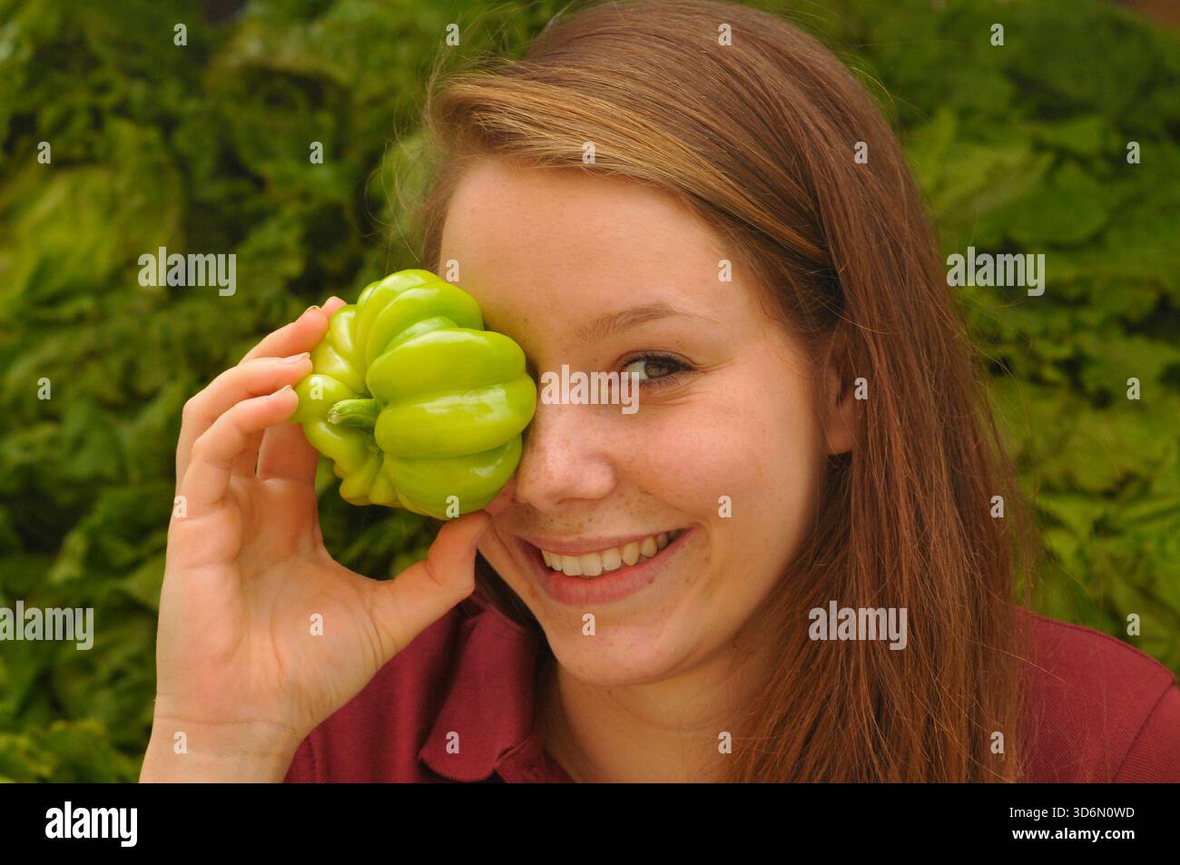 bell pepper or paprika vegetable for cooking or eating raw bell pepper ...