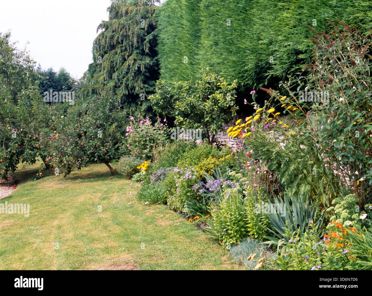 Garden neat lawn flower border hi-res stock photography and images - Alamy