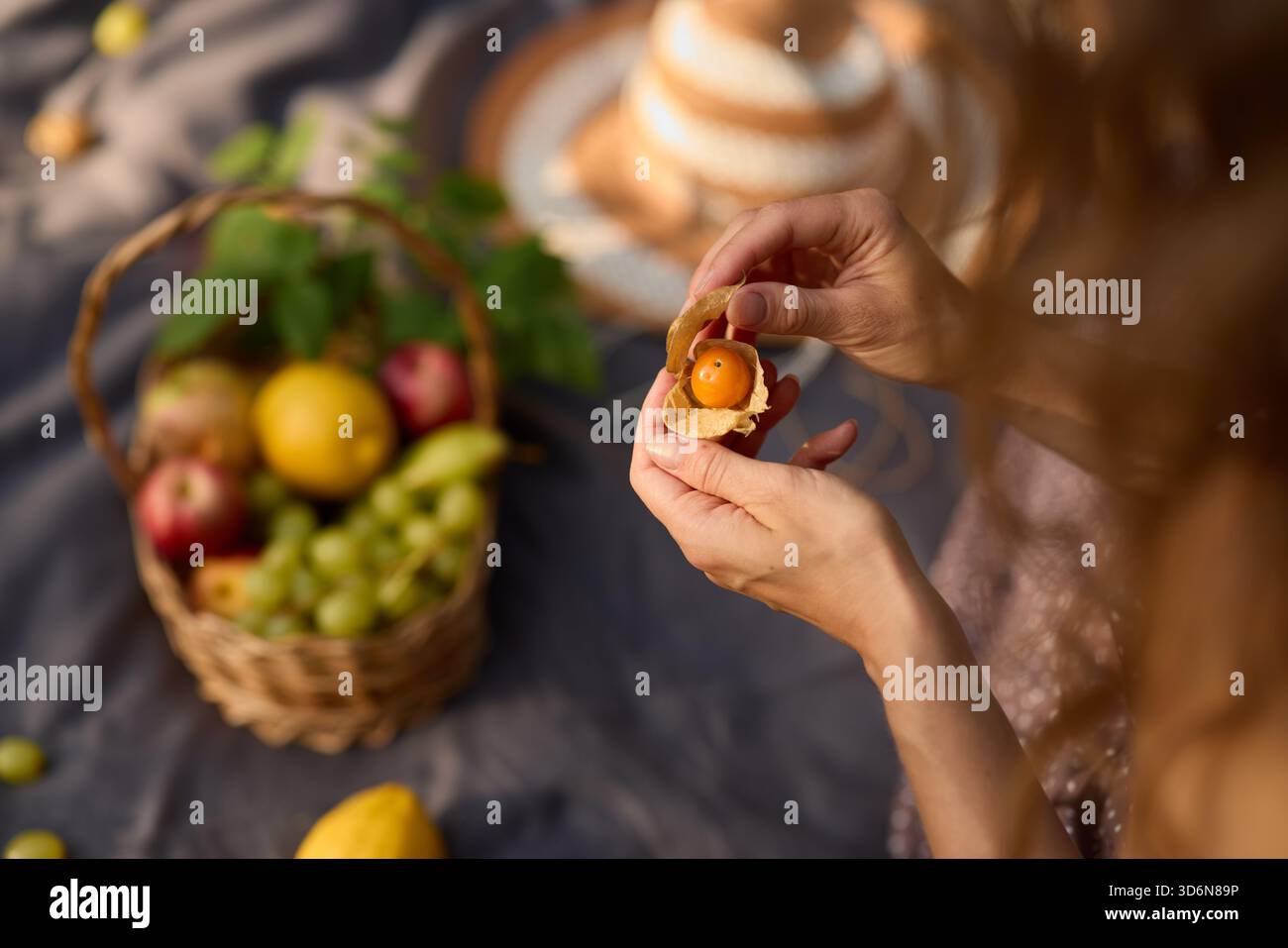 Homemade picnic fresh fruits hi-res stock photography and images - Alamy