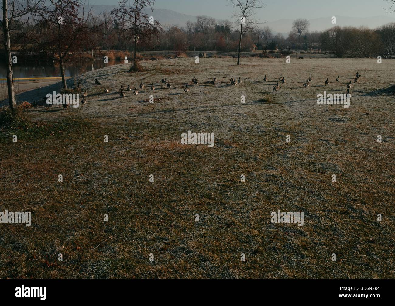 Esther simplot hi-res stock photography and images - Alamy