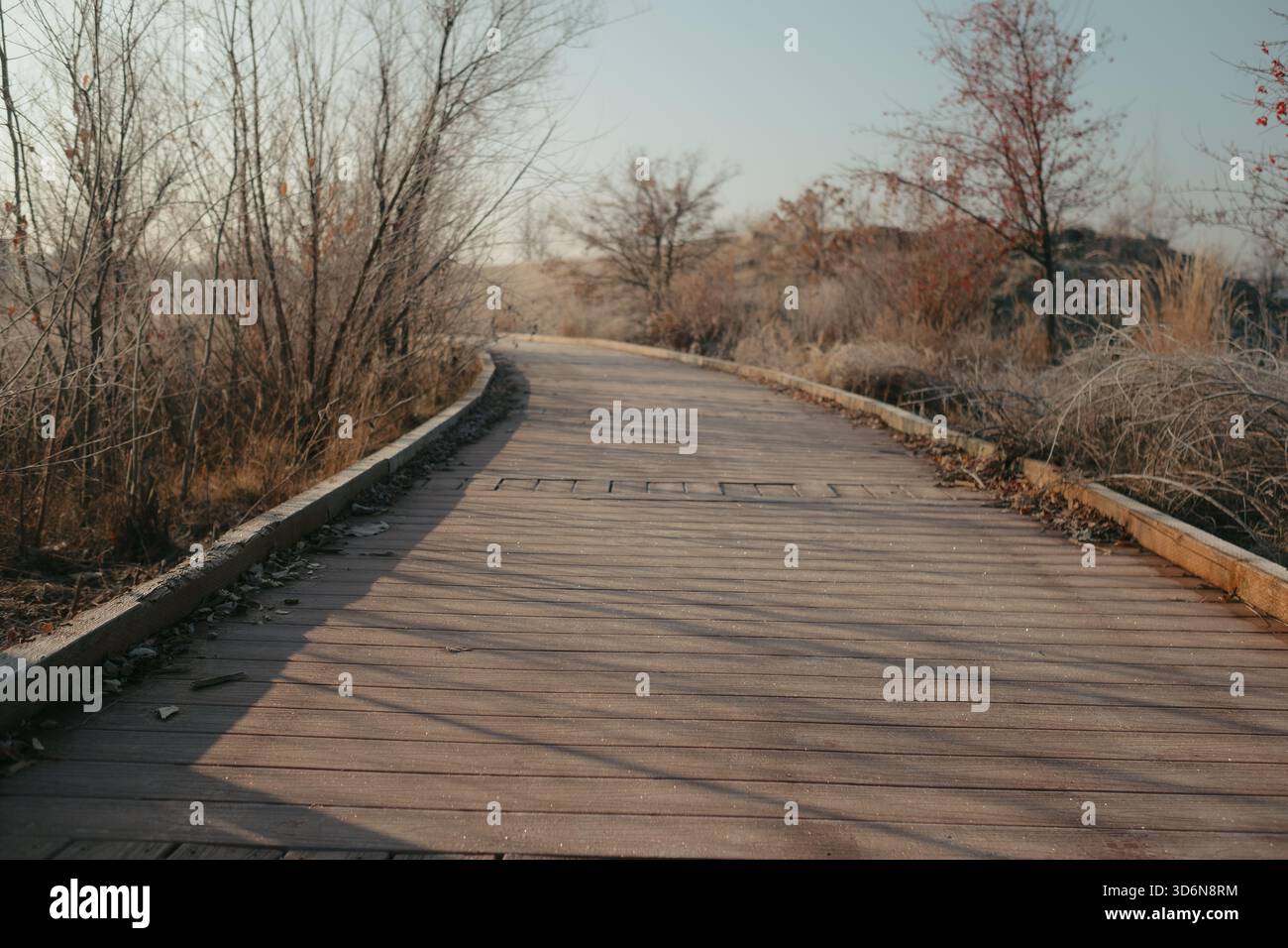 Wooden boardwalk winding through winter park landscape Stock Photo - Alamy