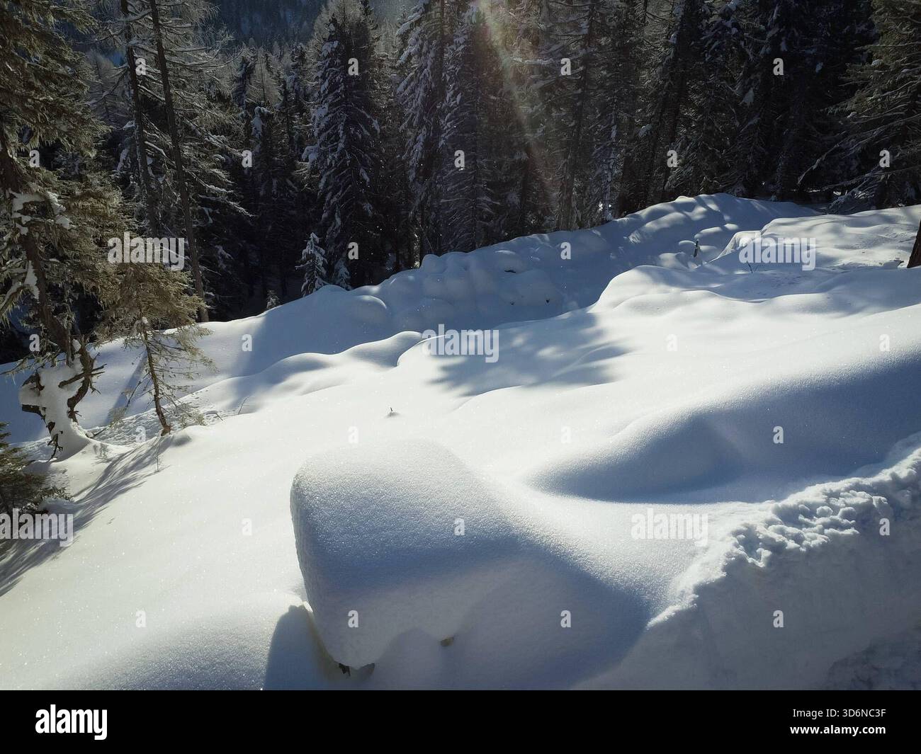 Winterlandschaft, Tiefschnee, Wald, Sonnenschein, Kälte, Natur ...
