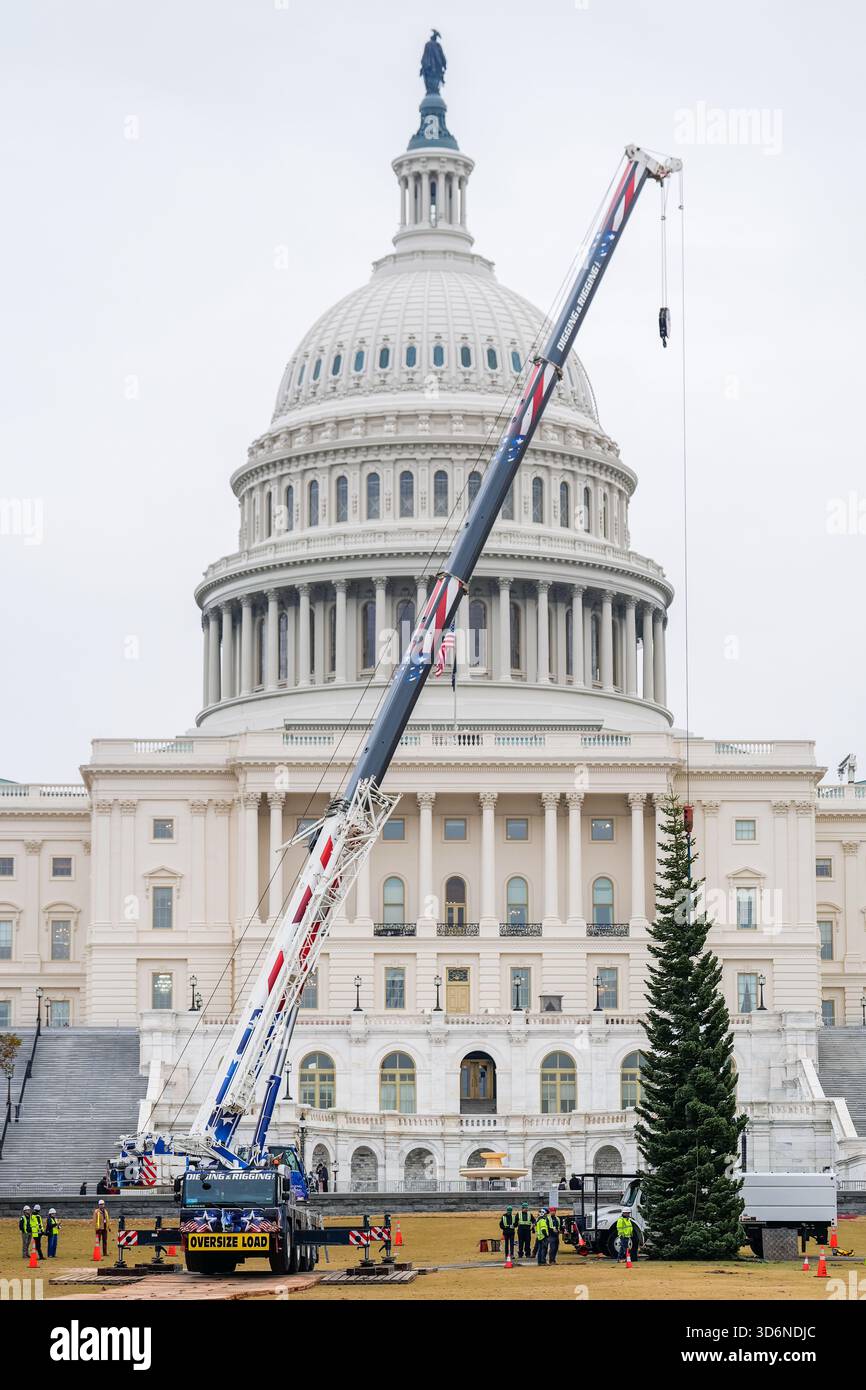 The Capitol Christmas Tree, a 53-foot red fir, arrives to the U.S ...