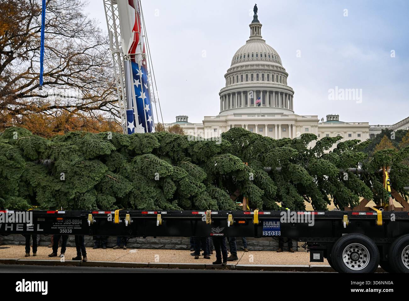 The 2025 U.S. Capitol Christmas tree arrives on the West Lawn of the US ...