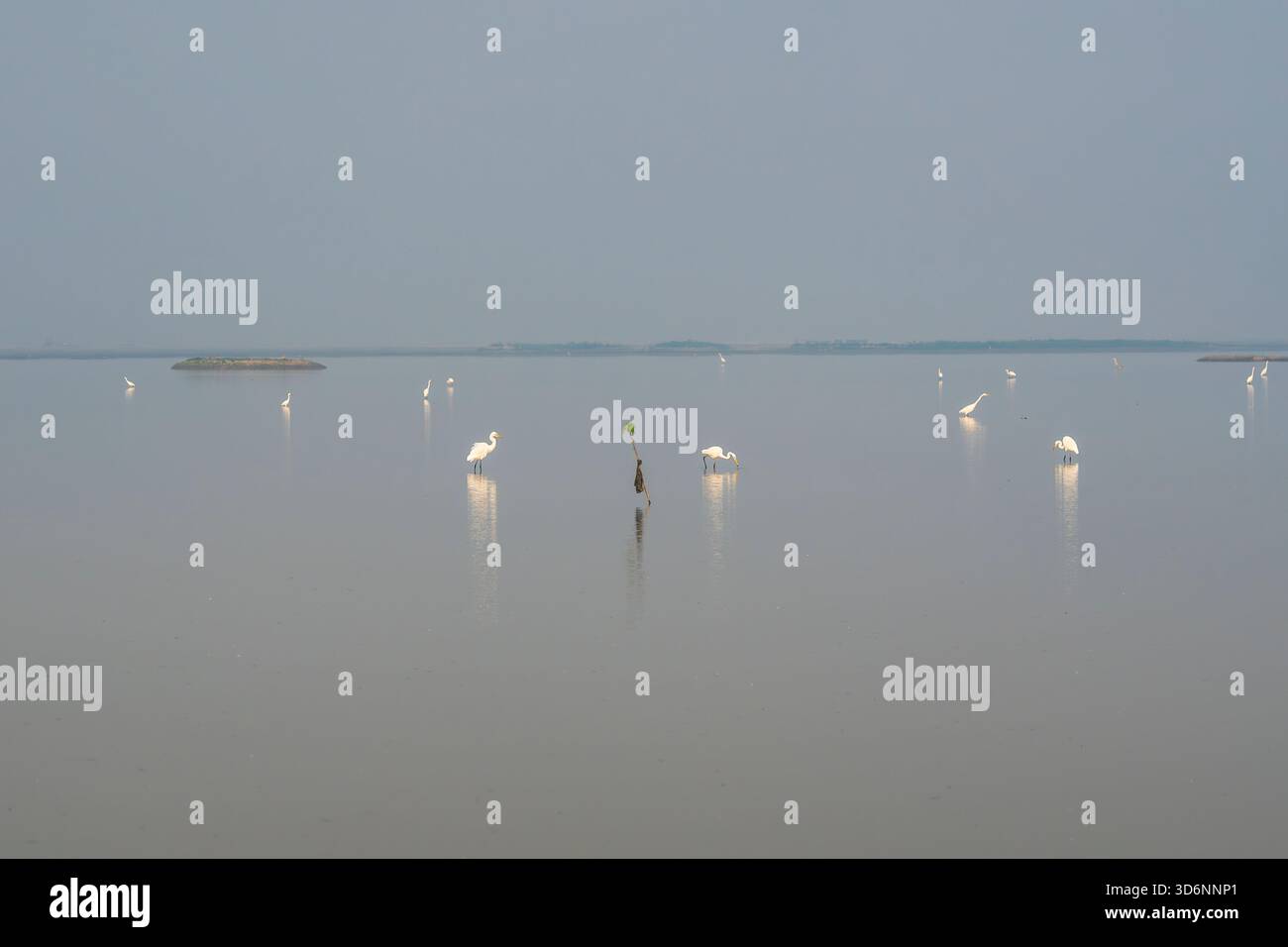 Waterlogged haor hi-res stock photography and images - Alamy