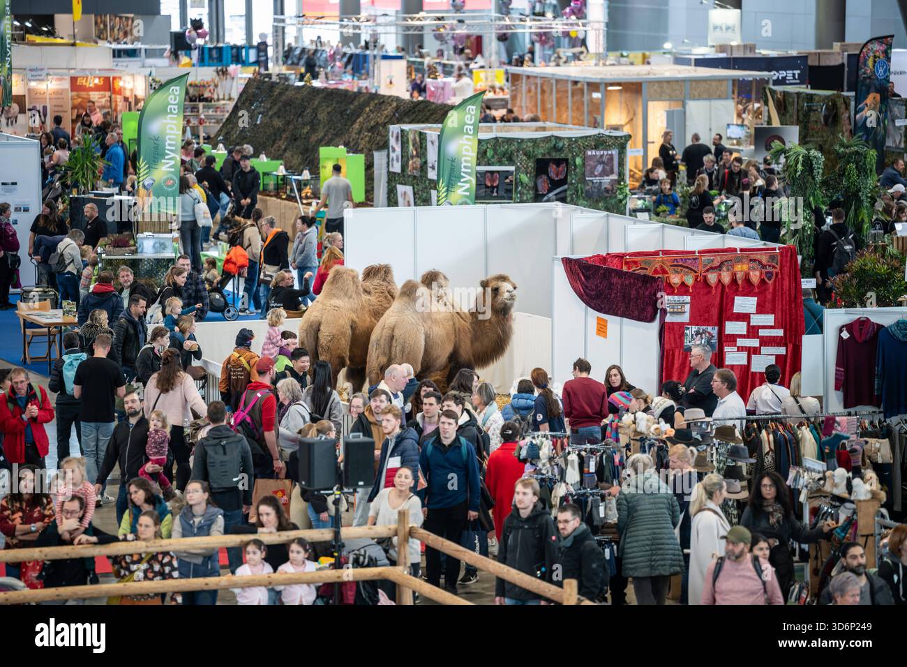 Kamele stehen während der Heimtiermesse ANIMAL auf dem Messegelände der ...