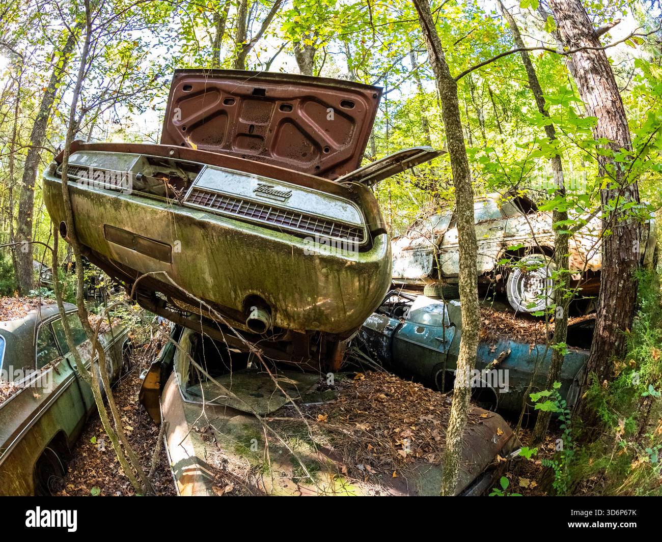 Grey And White Junkyard