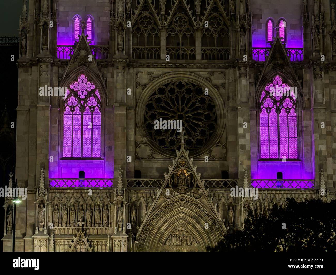 Votivkirche Vienna at Night with Pink Illuminated Facade Stock Photo ...
