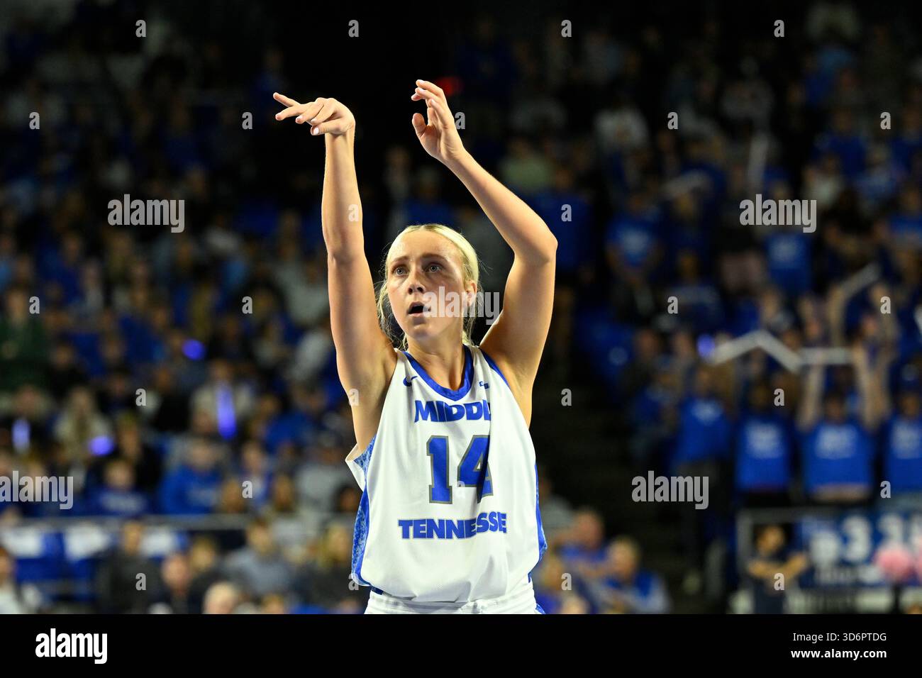 Middle Tennessee guard Savannah Davis (14) plays Tennessee in an NCAA ...