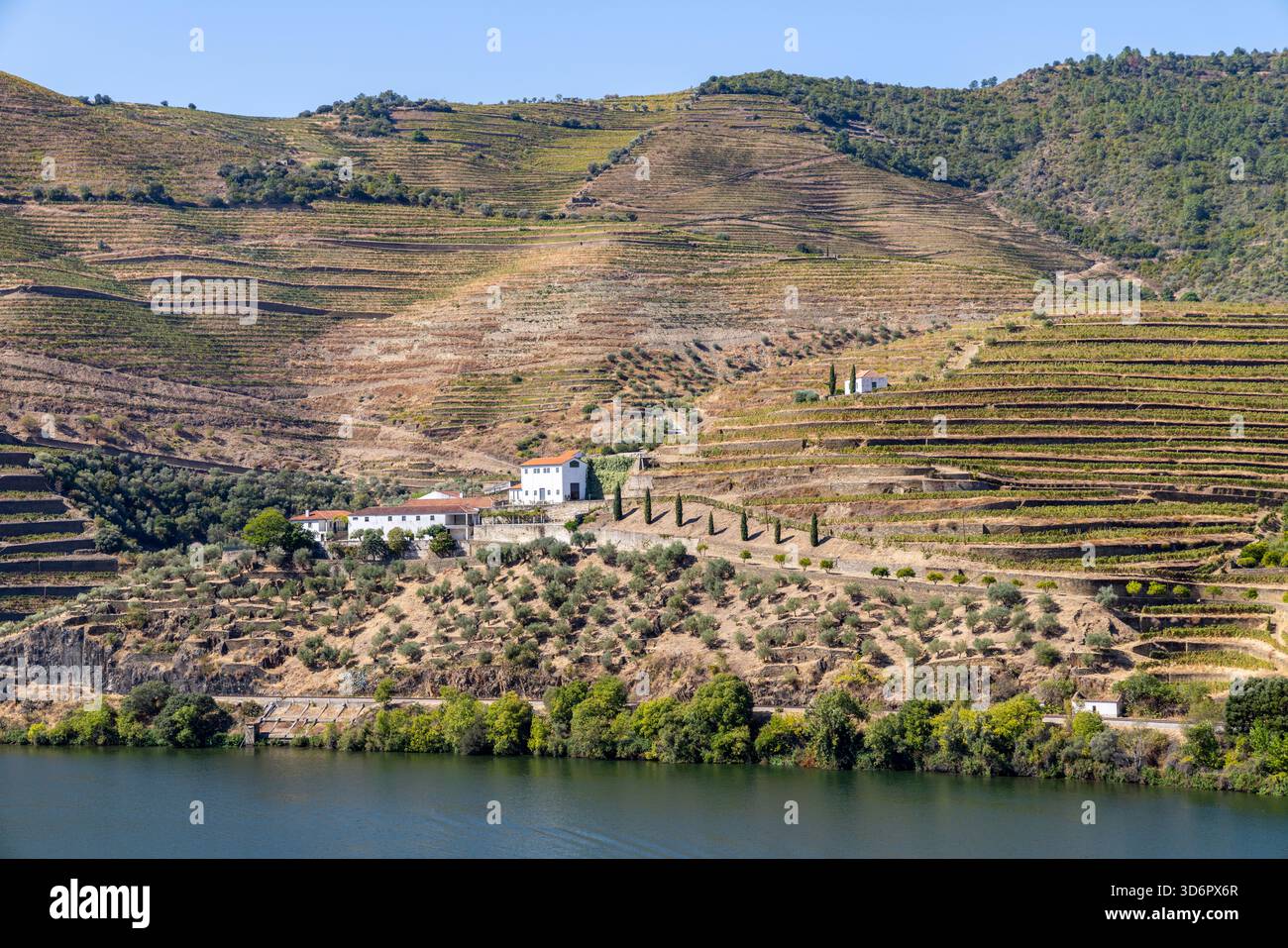 Douro Valley, Portugal, Alves de Sousa vineyards and wine estate beside ...