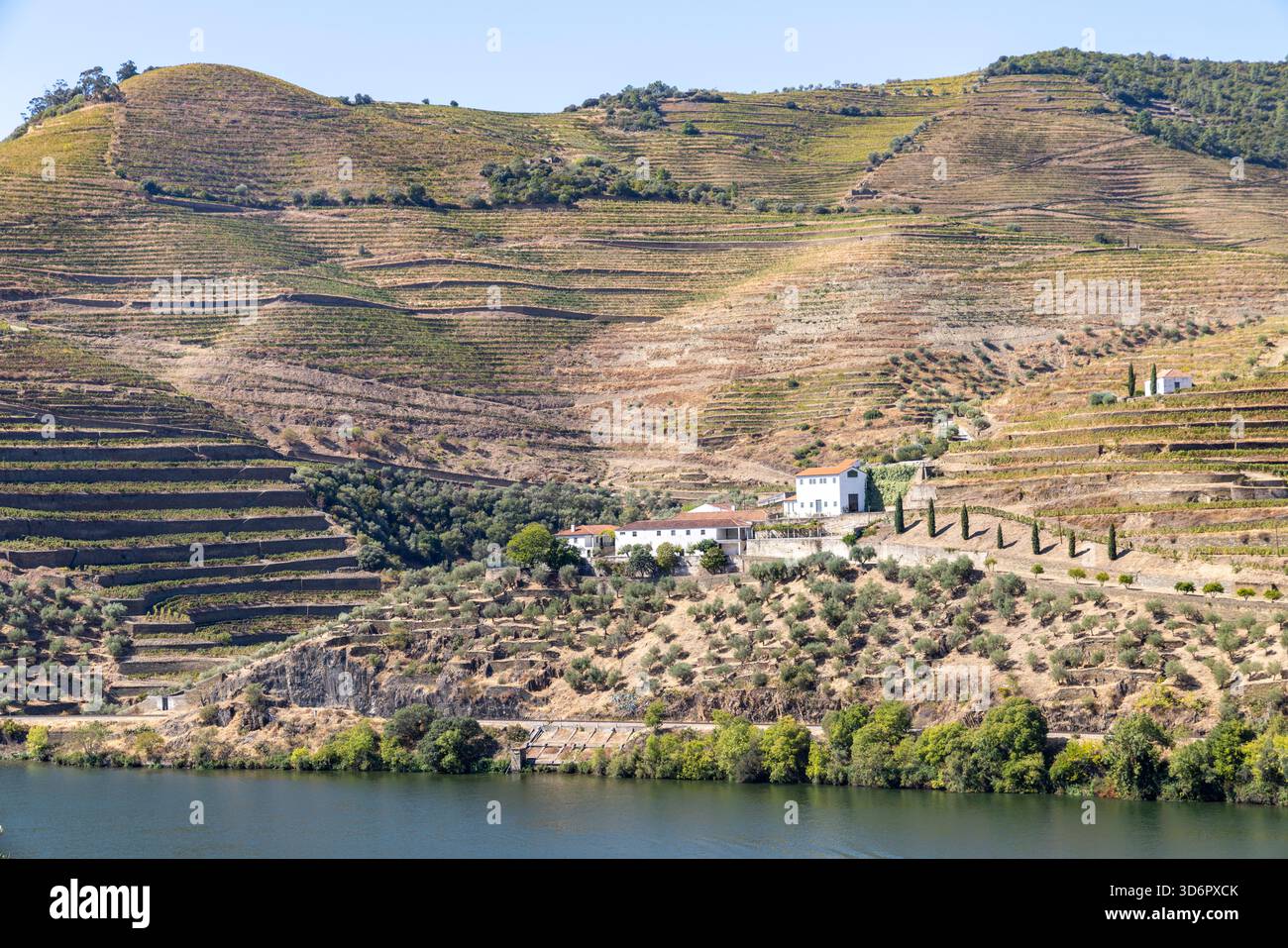 Douro Valley, Portugal, Alves de Sousa vineyards and wine estate beside ...