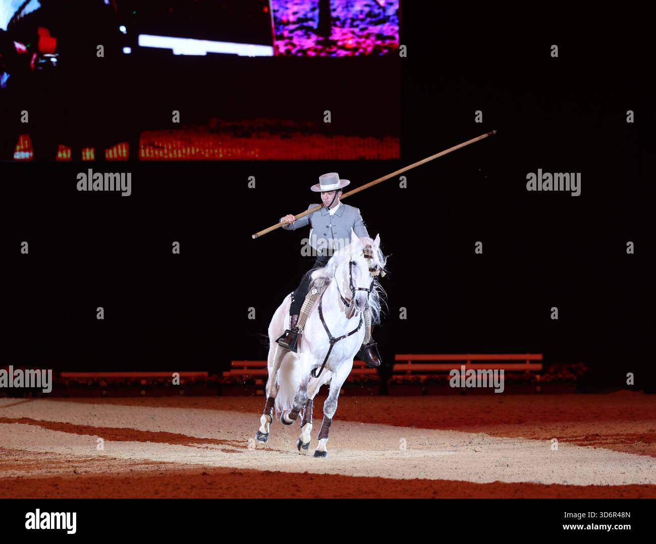 Seville Spain 21 the November 2025 Antonio Angulo rider in action during Pre Purebred Spanish ...