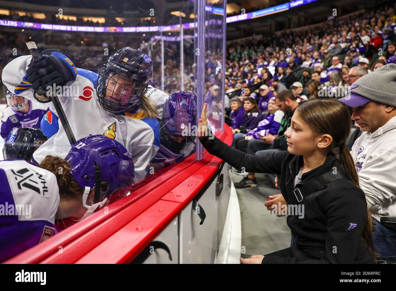 November 21st, 2025: A fan taps the glass towards Toronto Sceptres ...