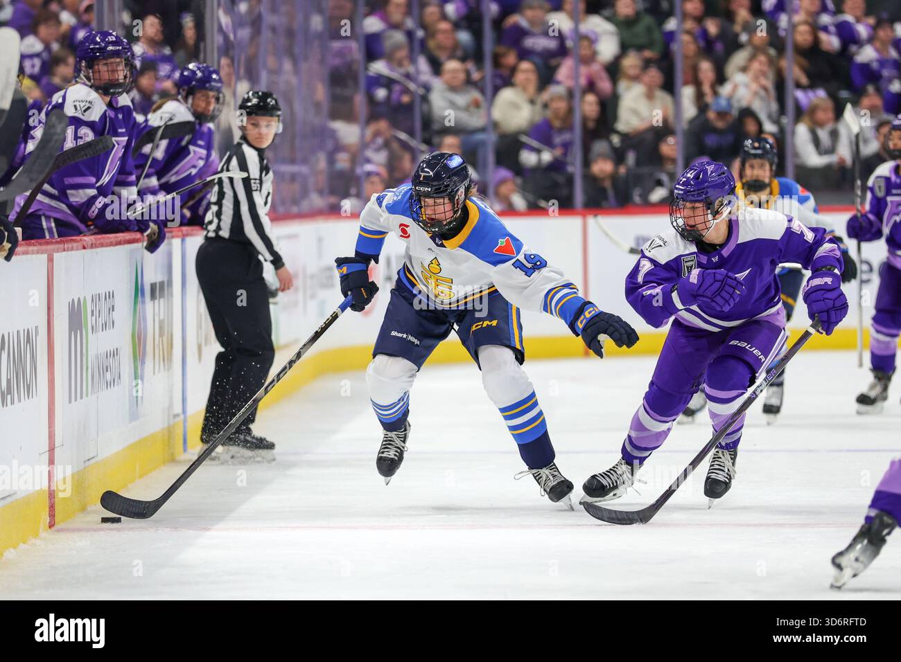 Butorac hi-res stock photography and images - Alamy