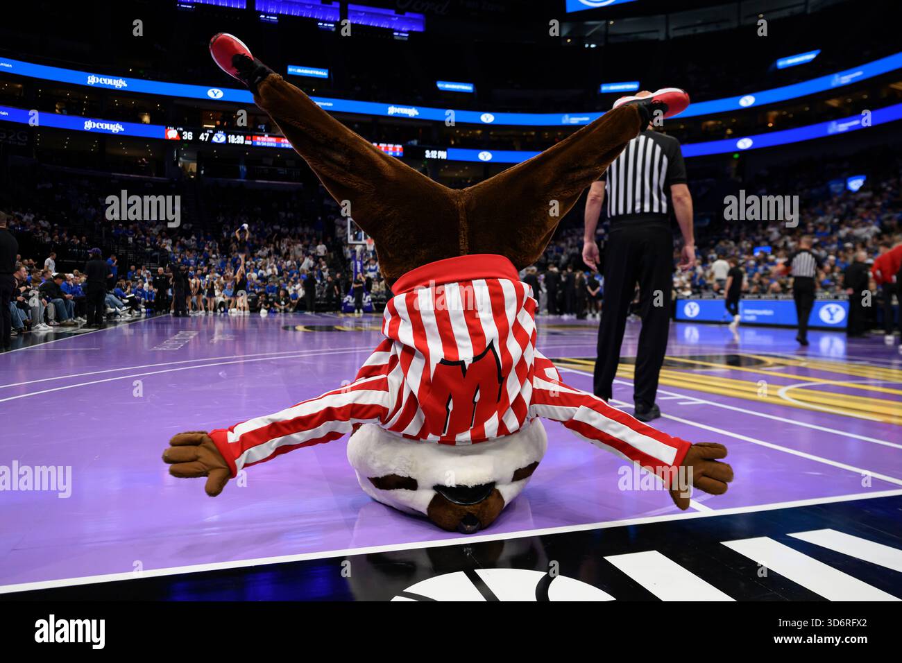 Bucky Badger does a headstand during the second half of an NCAA college ...