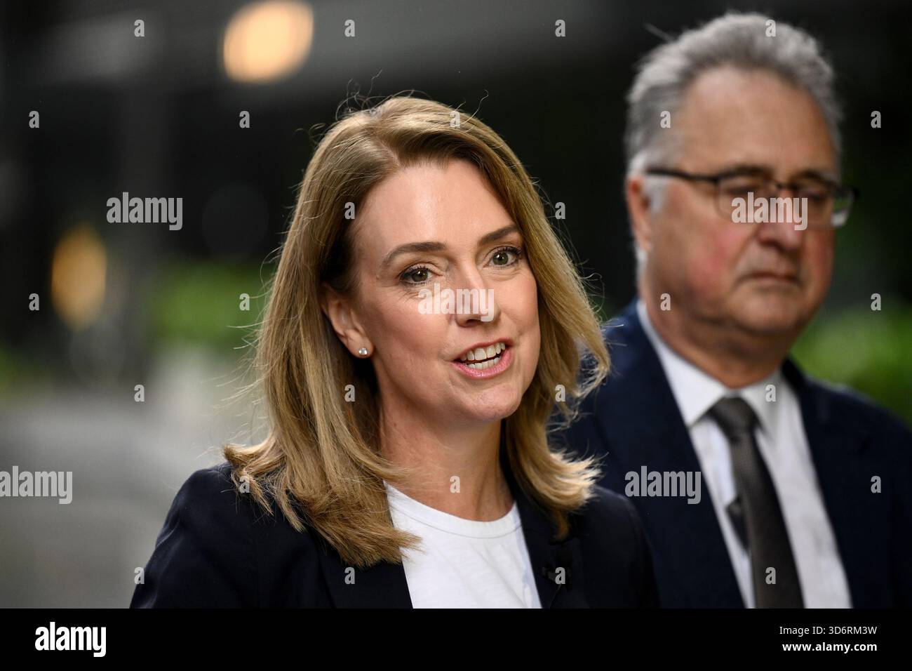 Newly appointed NSW Opposition Leader Kellie Sloane speaks to media ...