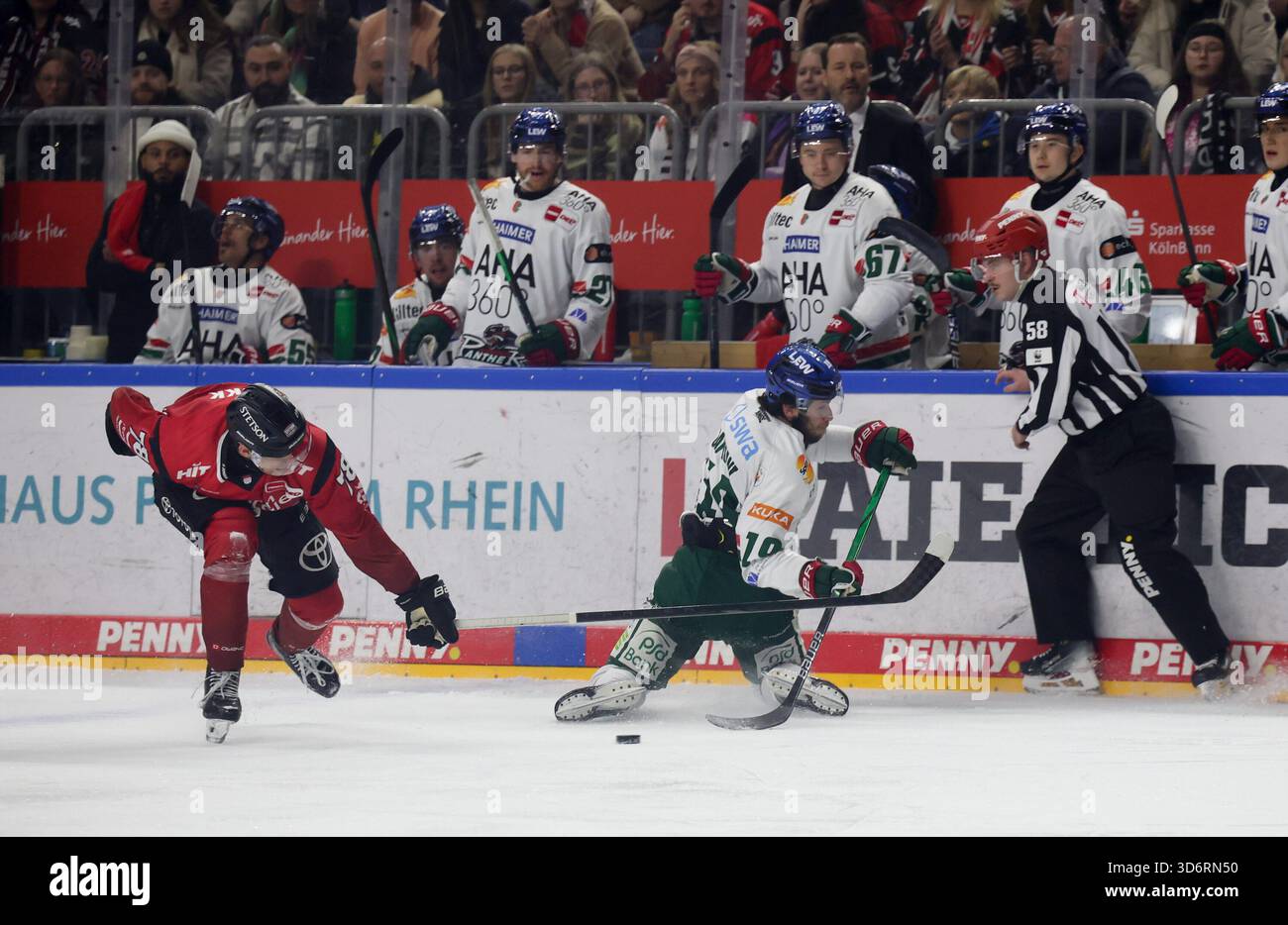 from left. Dominik Bokk (Cologne Sharks #78), Riley Damiani (Augsburg ...