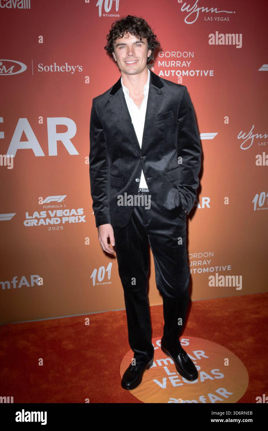 LAS VEGAS, NV - NOVEMBER 21: Nicolas Vansteenberghe at amfAR’s Second ...