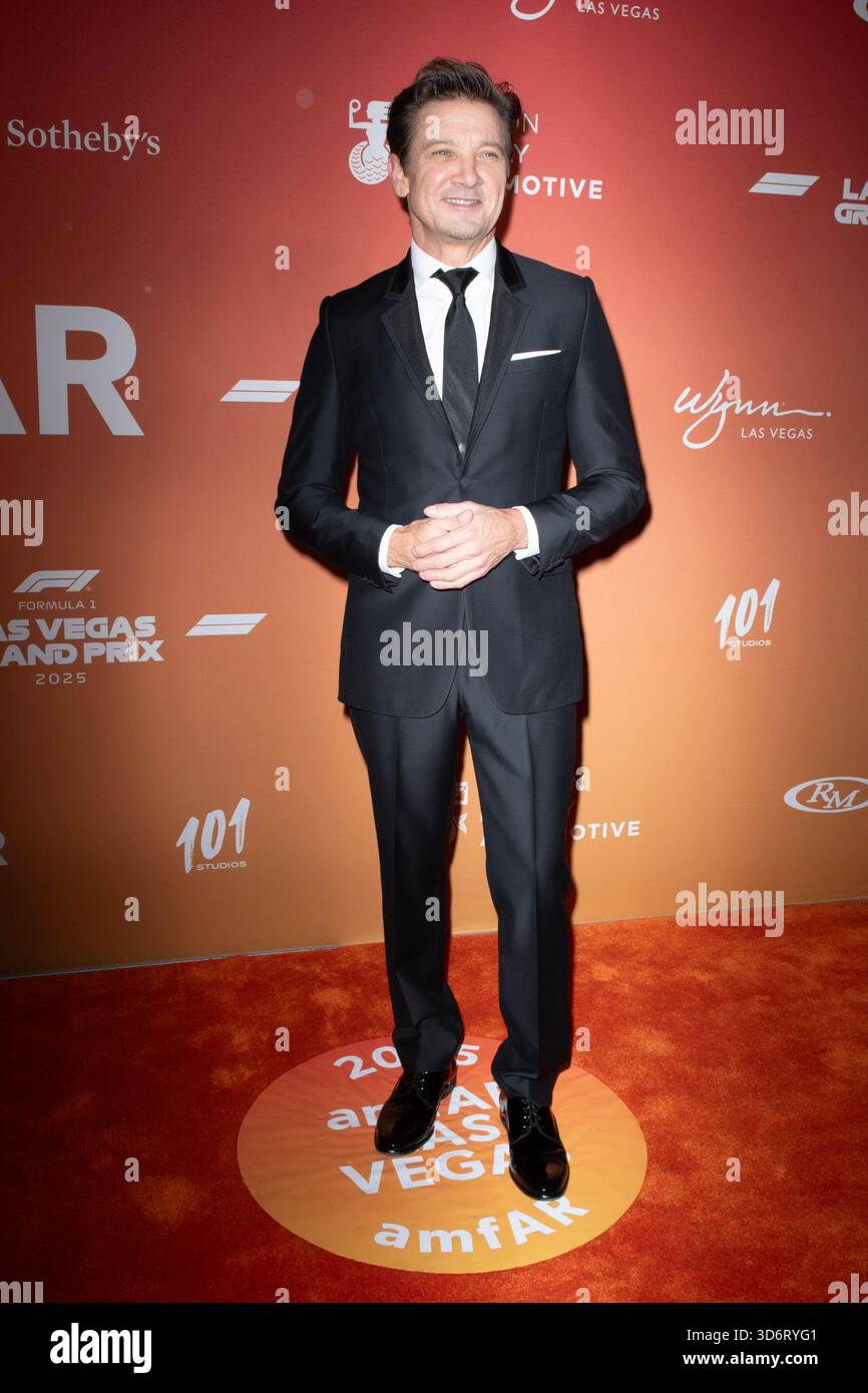 LAS VEGAS, NV - NOVEMBER 21: Jeremy Renner at amfAR’s Second Annual Las ...