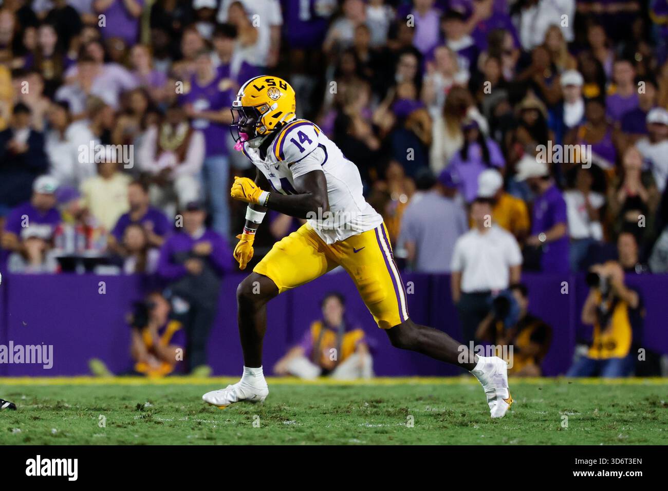 LSU defensive back CJ Jackson (14) looks to defend during a NCAA ...