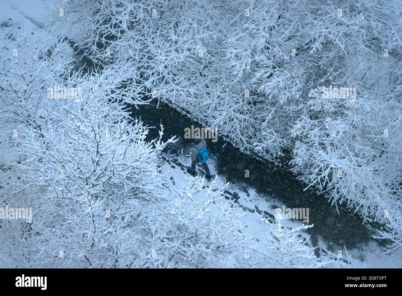 November 22, 2025, Lviv, Lviv, Ukraine: Snow in Ukraine (Credit Image ...