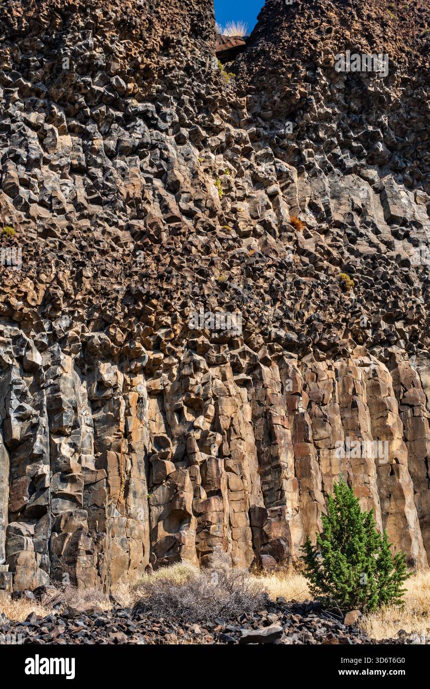 Palisades columnar basalt rocks over South Fork Crooked River at Lower ...