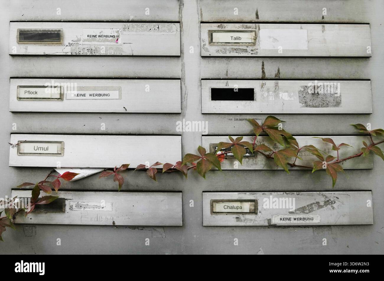 Spatleerung Briefkasten Berlin