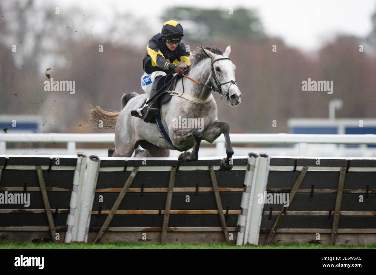 Stephen lanigan okeeffe hi-res stock photography and images - Alamy