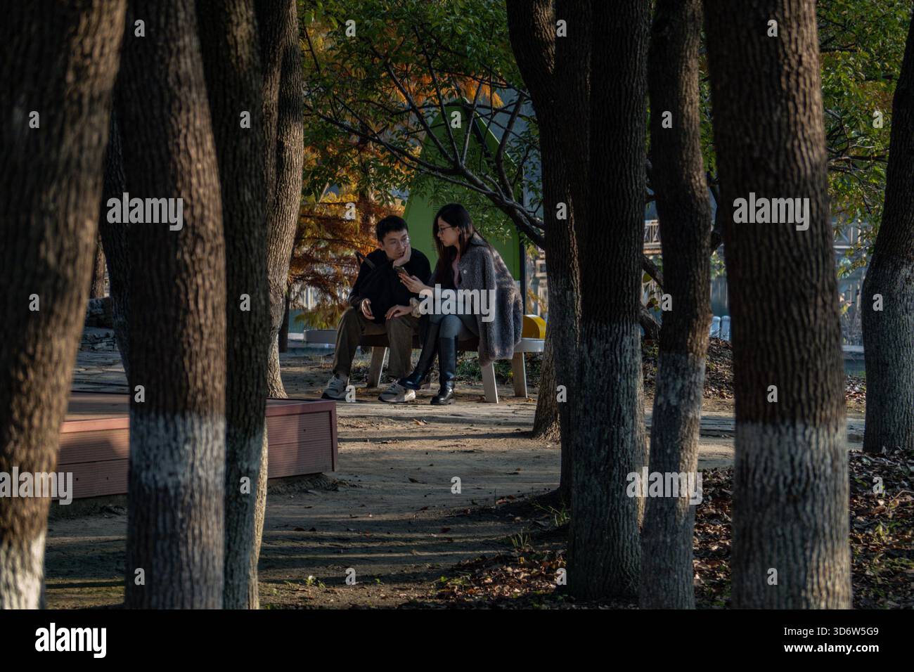 A man and a woman sit on a bench among trees looking at a phone in the ...