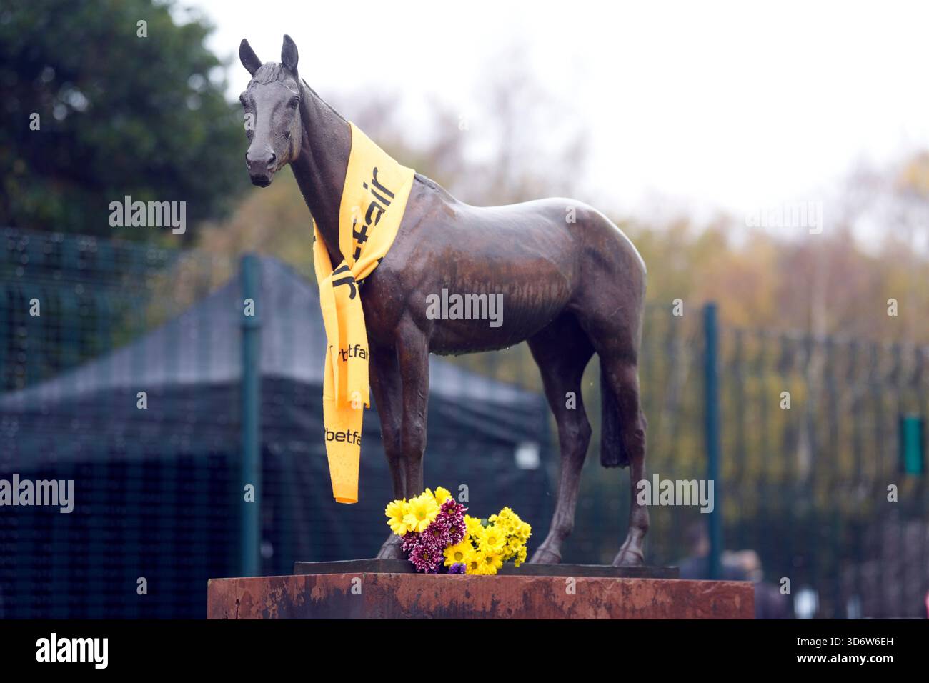 A general view during Betfair Chase Day at Haydock Park Racecourse ...