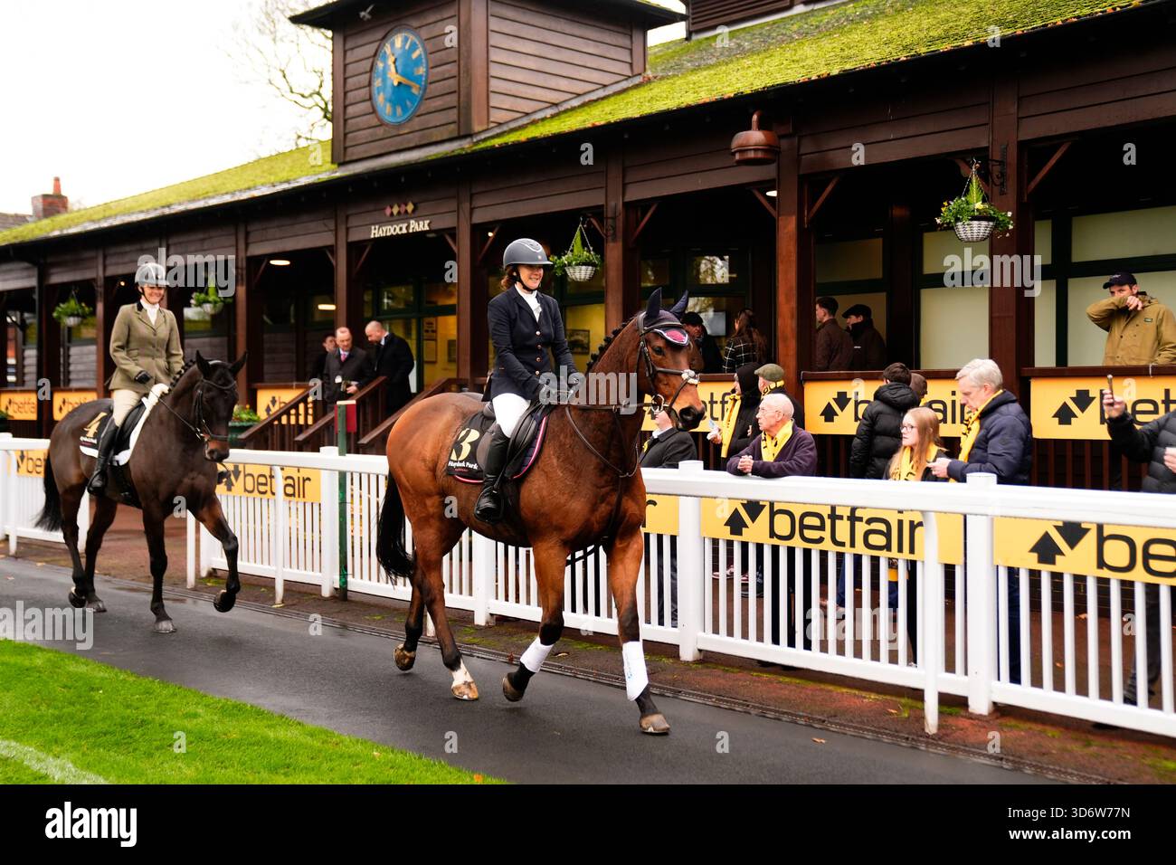 A general view of the retraining of racehorses parade in the parade ...