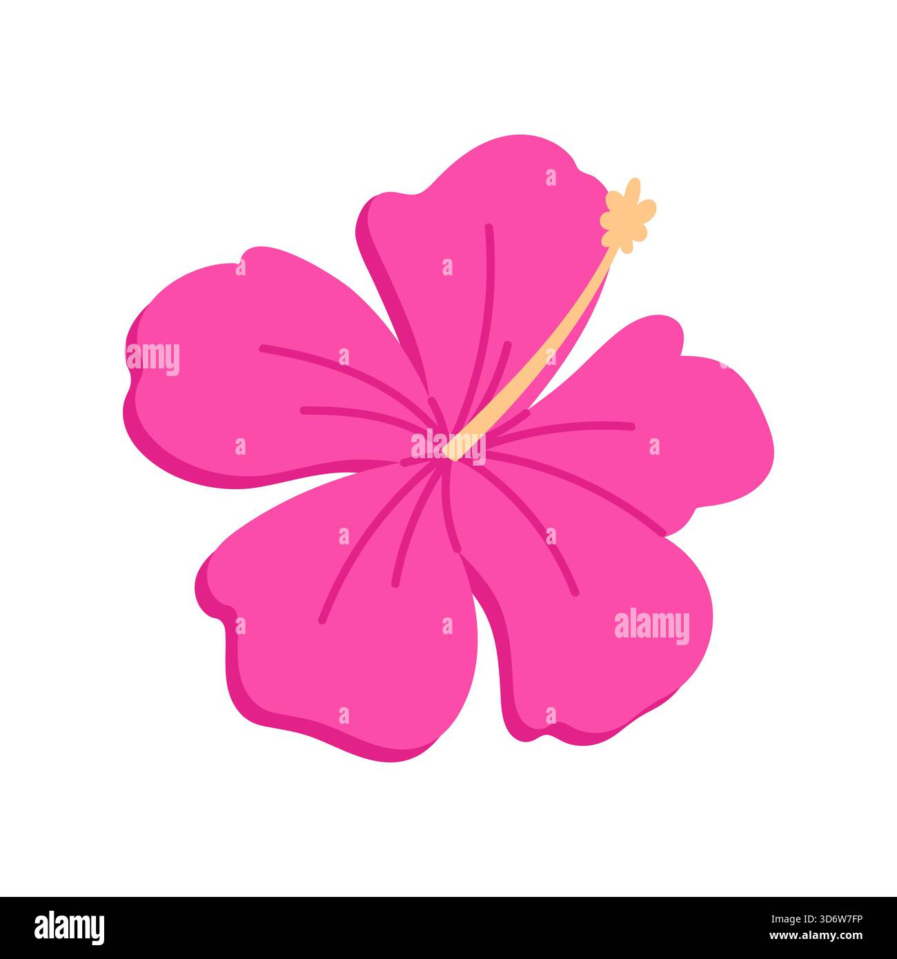 Bright pink hibiscus flower isolated on white background, perfect for ...