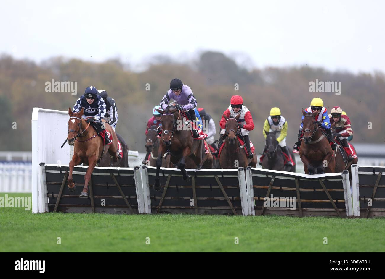 The field jumps a hurdle during the Get Your Ladbrokes Free Ascot Bet ...