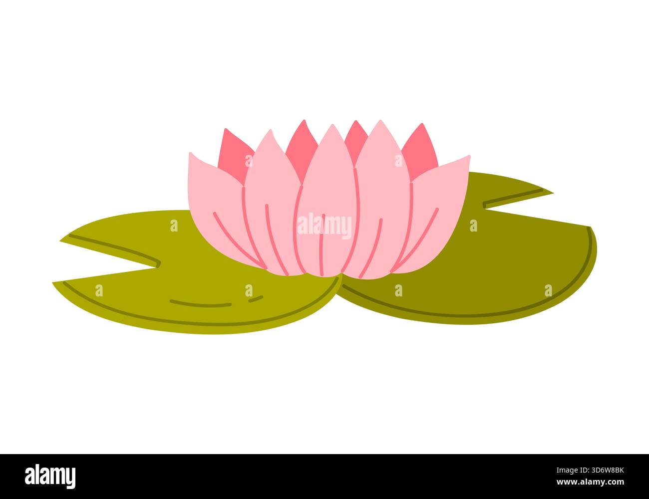 Minimalist isolated pink lotus flower with green lily pads on white ...