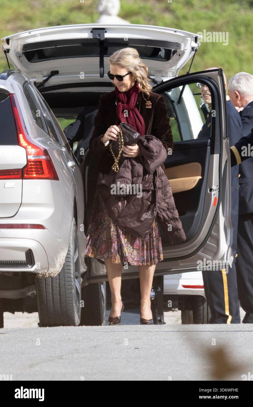 The Infanta Elena on her arrival at El Pardo Palace, November 22, 2025, in Madrid (Spain ...