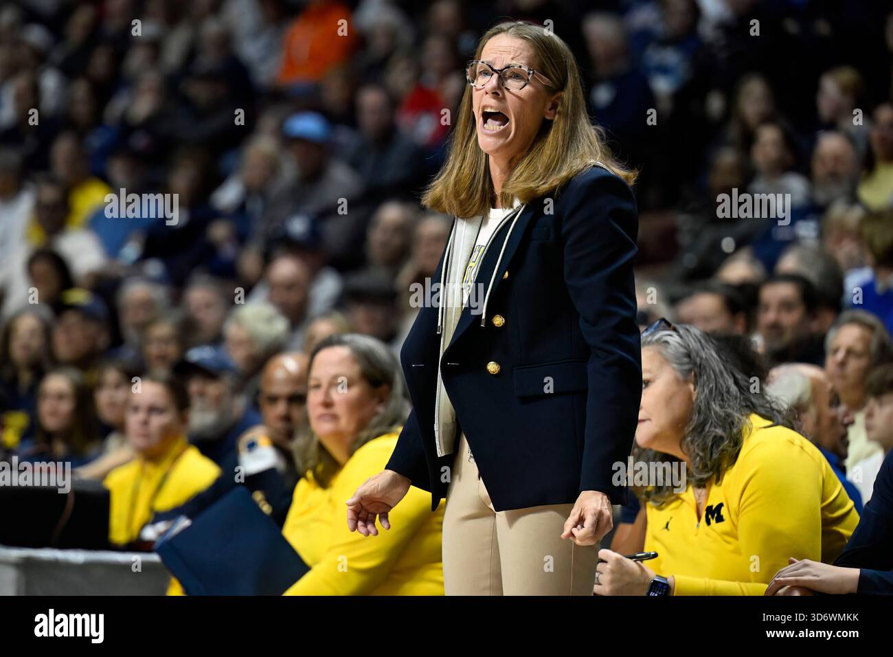 Michigan head coach Kim Barnes Arico in the first half of an NCAA ...