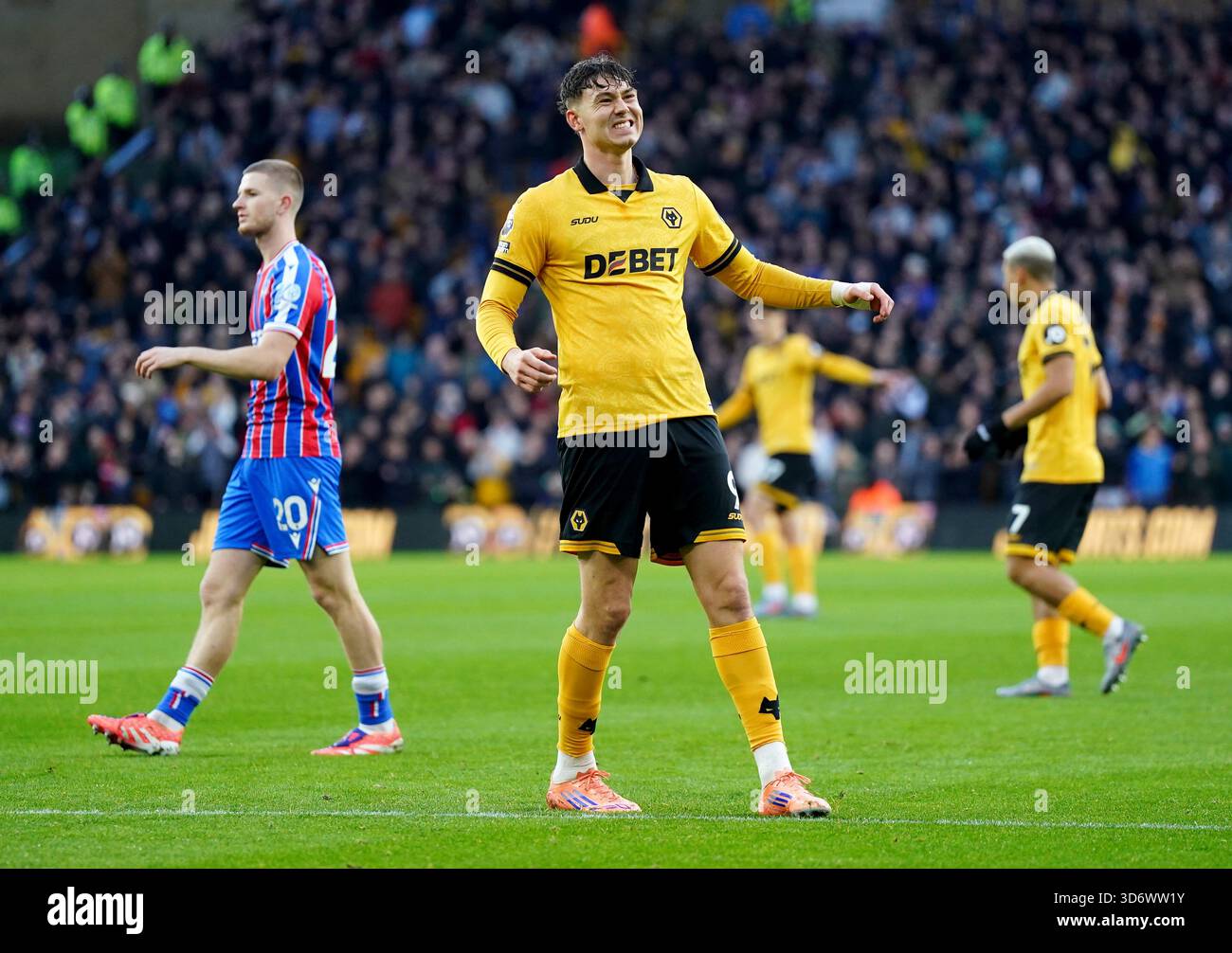 Wolverhampton Wanderers' Jorgen Strand Larsen reacts after a missed ...