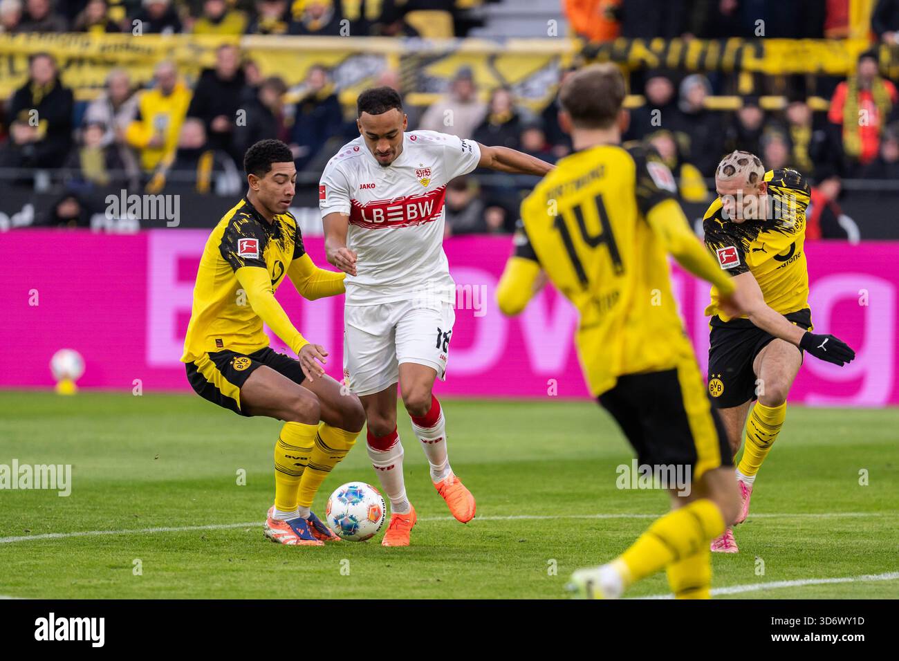11/22/2025, Signal Iduna Park, Dortmund, GER, 1.FBL Borussia Dortmund ...