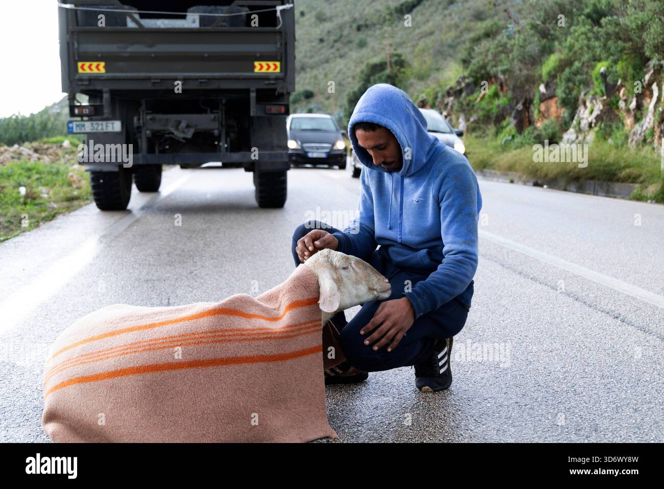 A man takes care of a sheep wrapped with a blanket after a week of ...