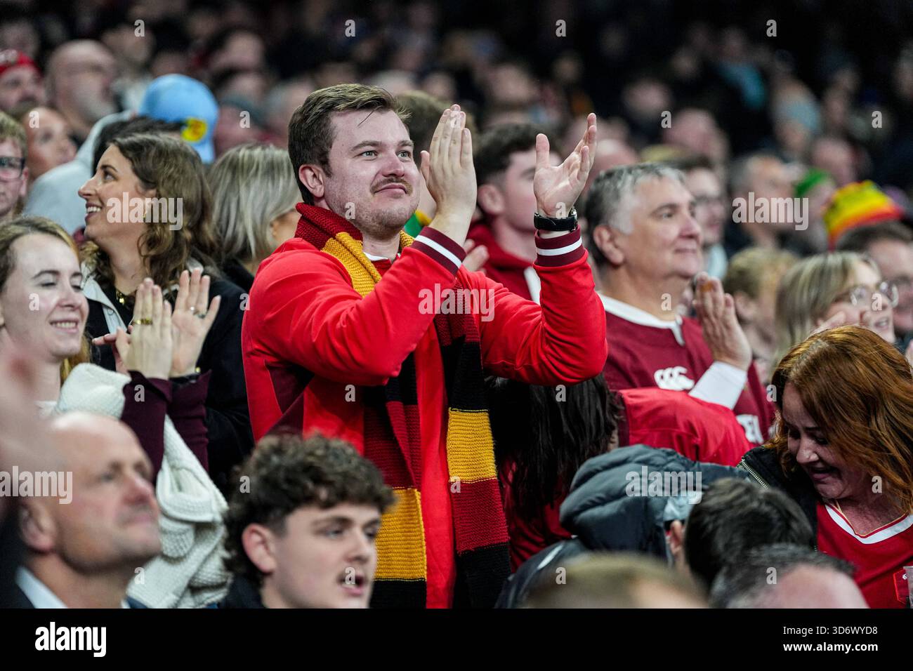 Welsh fans celebrate their first try during the Quilter Nations Series ...
