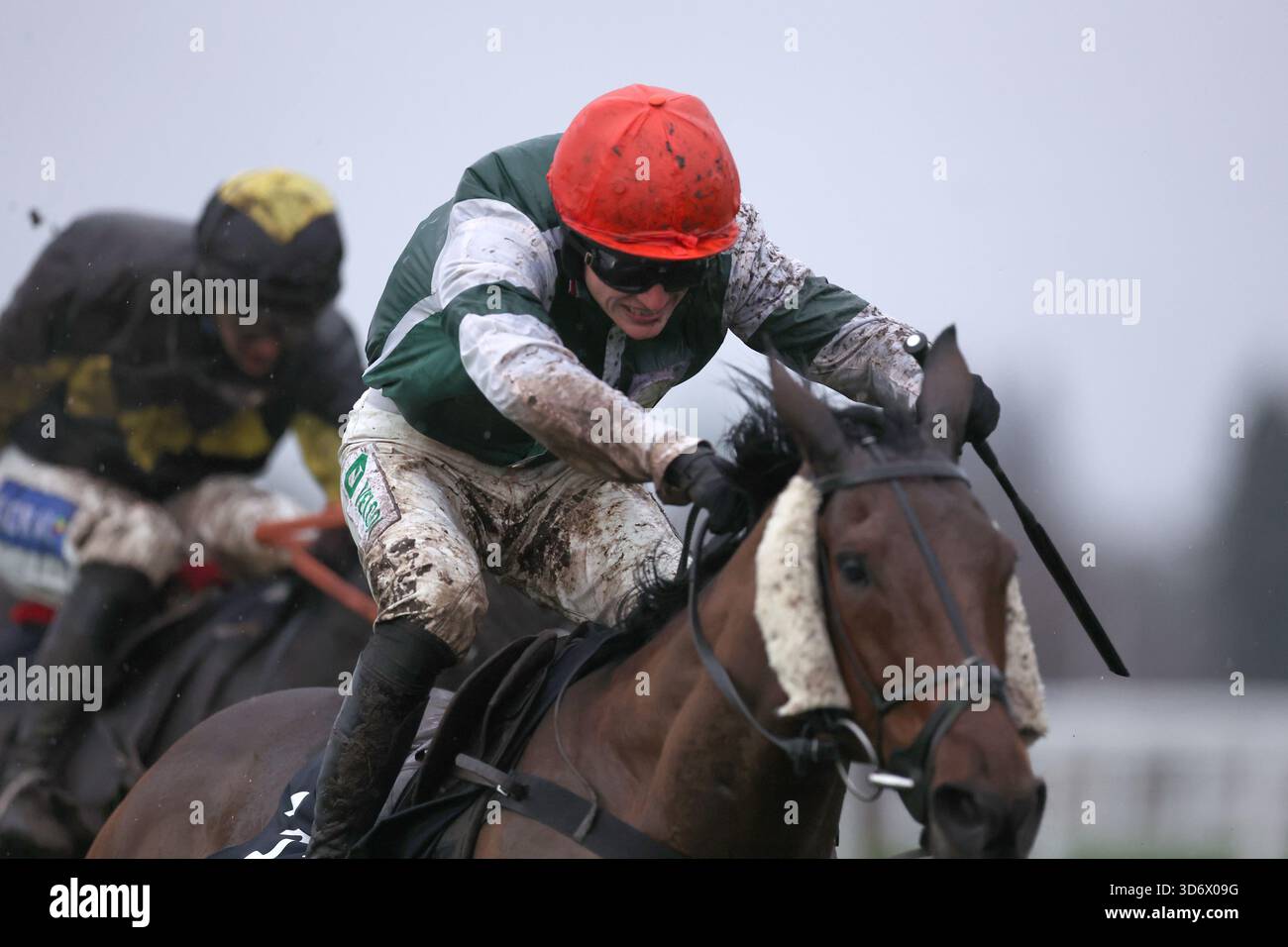 Calico ridden by Tristan Durrell goes on to win the Castello Banfi ...