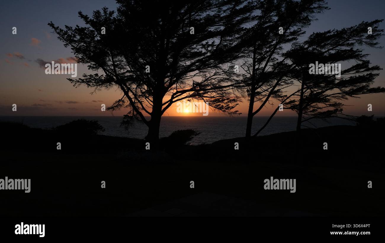 setting golden sun over the Irish sea with silhouette of trees. from ...