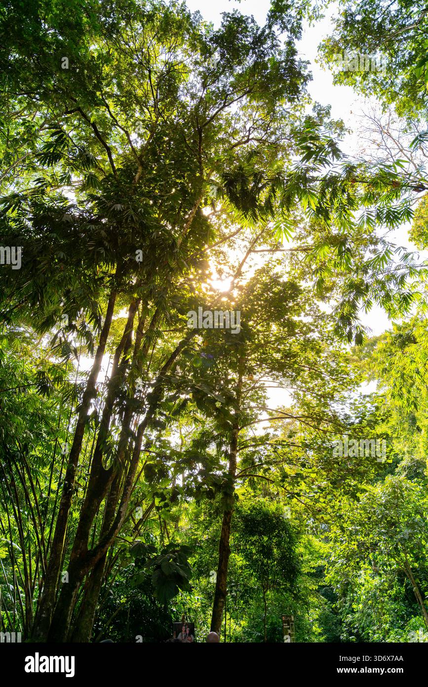 Summer energy peru hi-res stock photography and images - Alamy