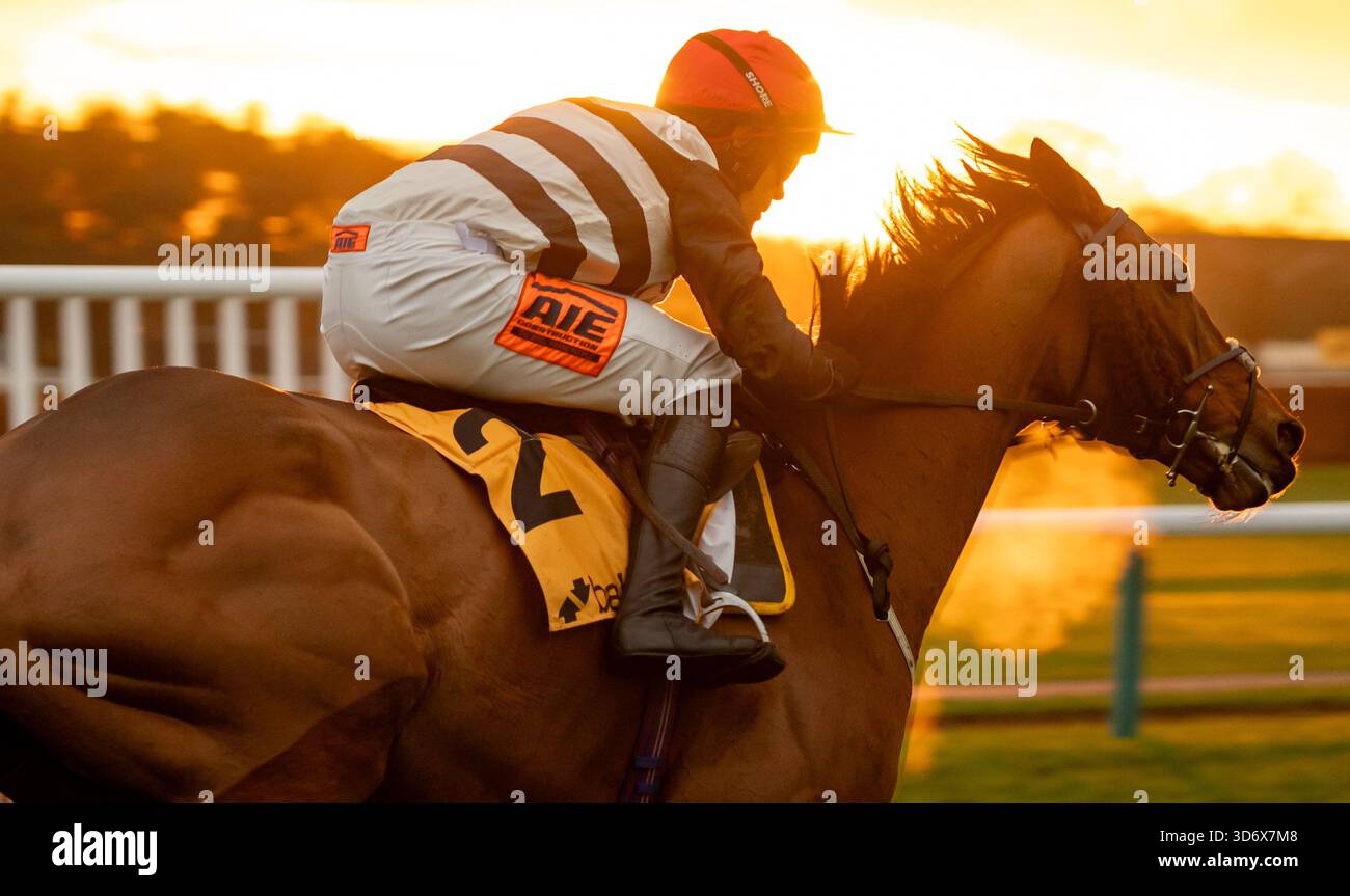 Miss jackie oflynn hi-res stock photography and images - Alamy