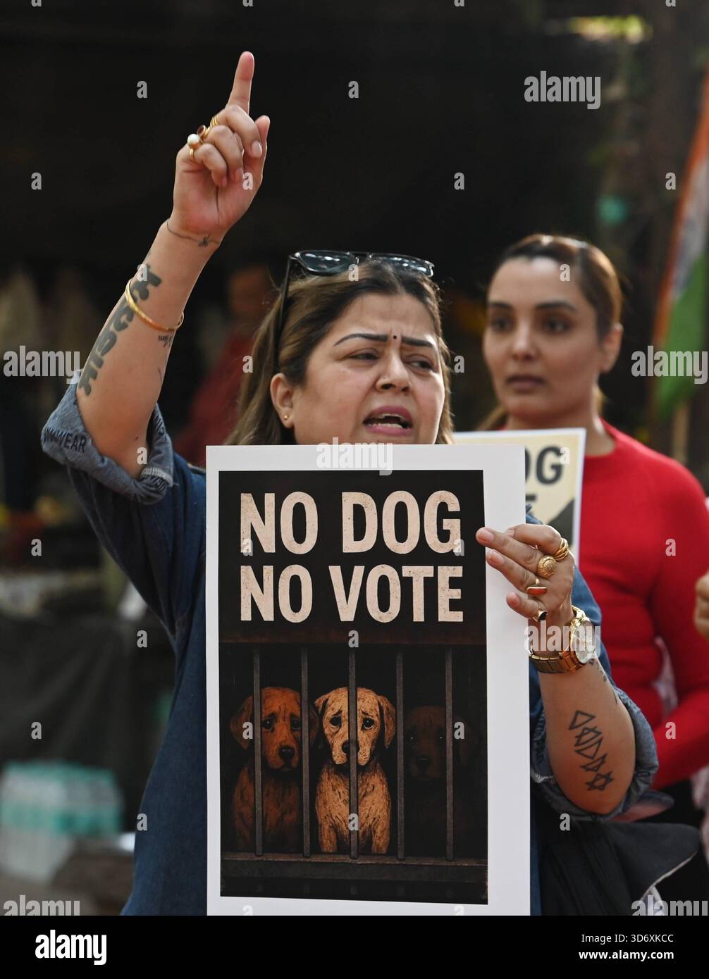 NEW DELHI, INDIA - NOVEMBER 22: Dog lovers during a protest at Jantar ...