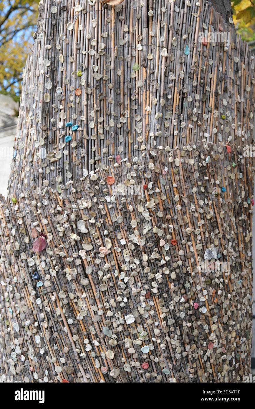 The Jim Morrison chewing gum tree next to the grave of the American ...