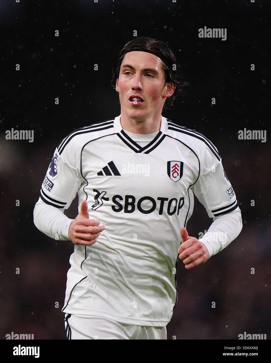 Fulham's Harry Wilson during the Premier League match at Craven Cottage ...