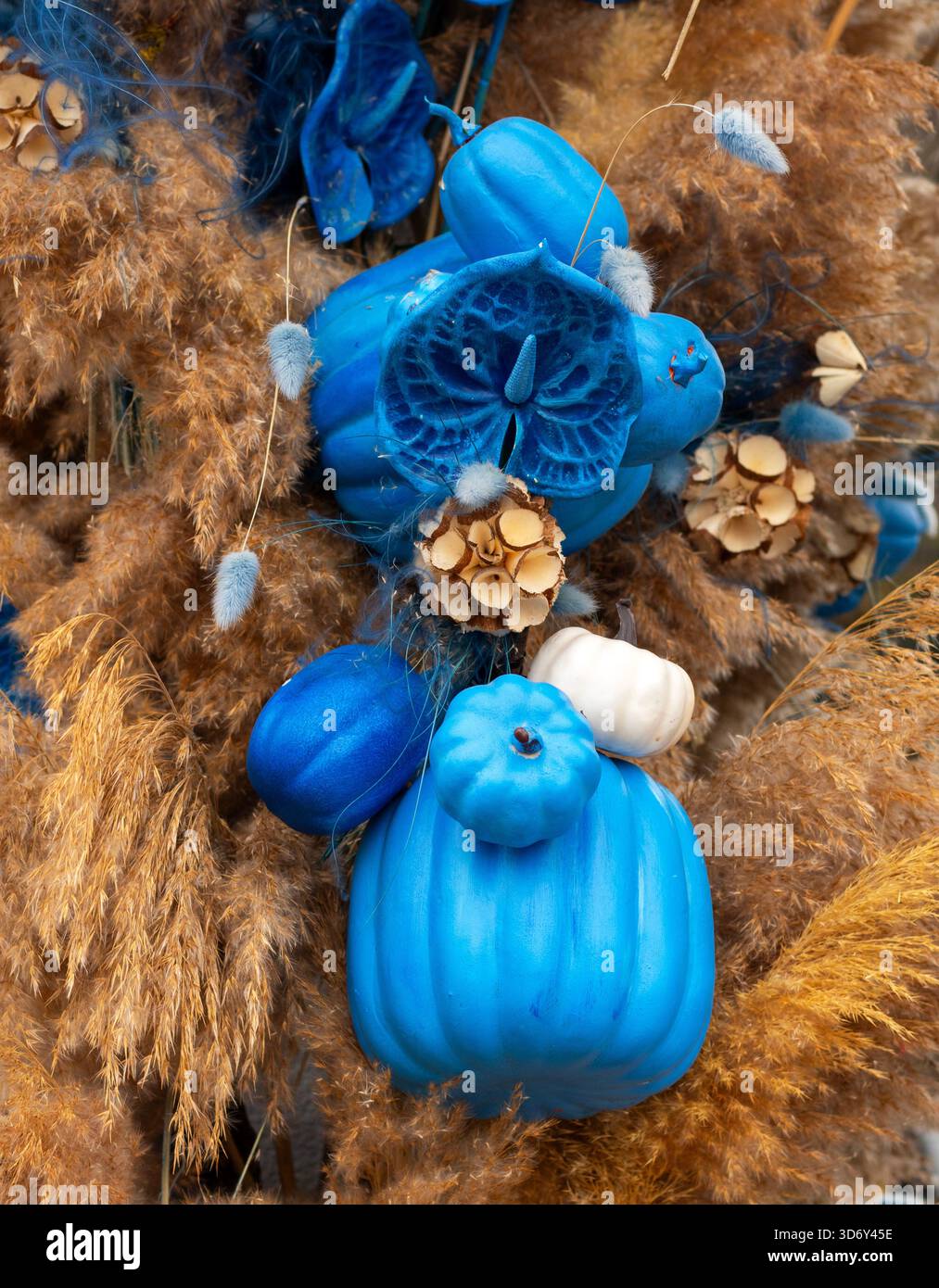 Blue pumpkin arrangement with dried grasses and seed pods for autumn ...